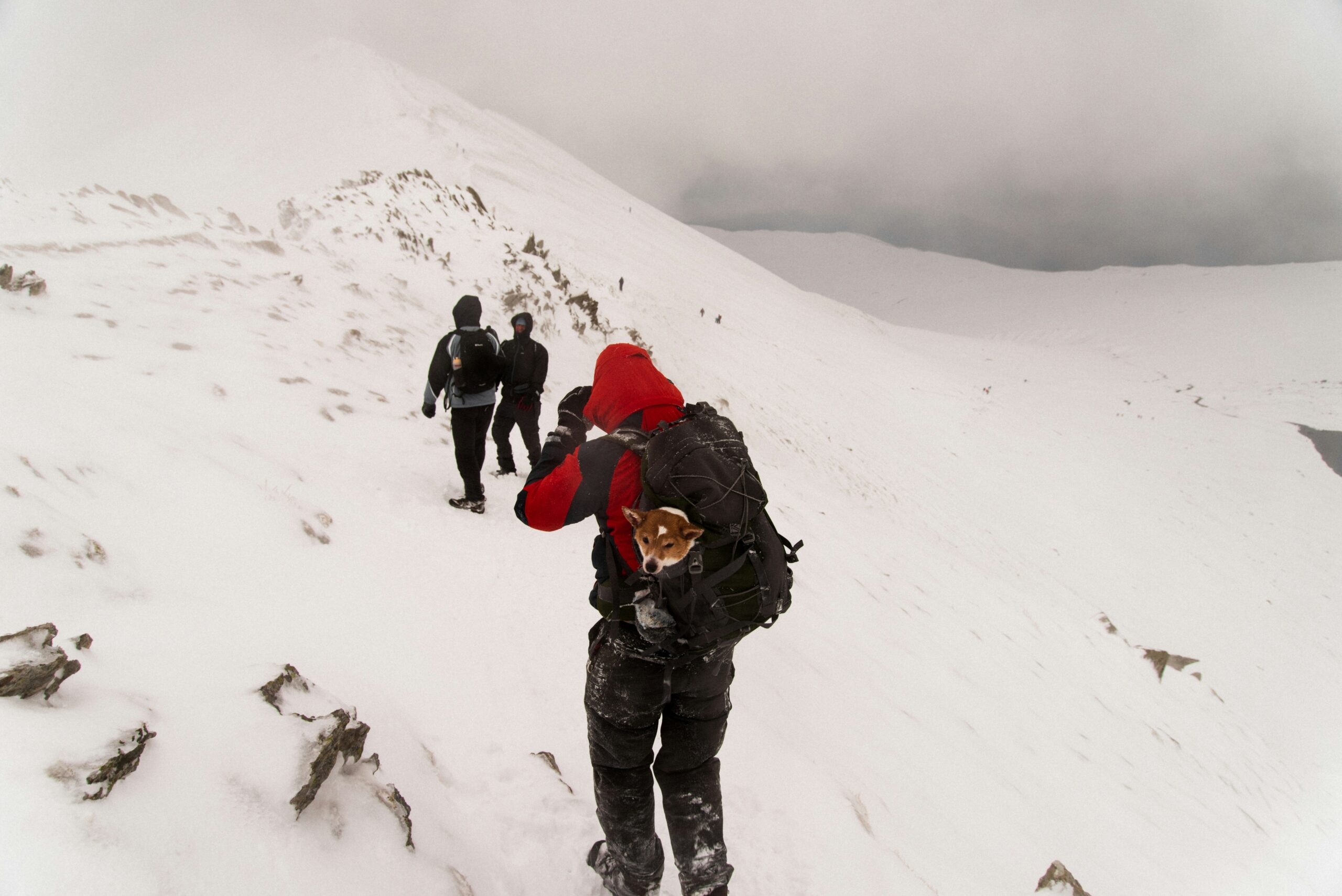 Altitude Sickness Guide: Symptoms & Prevention